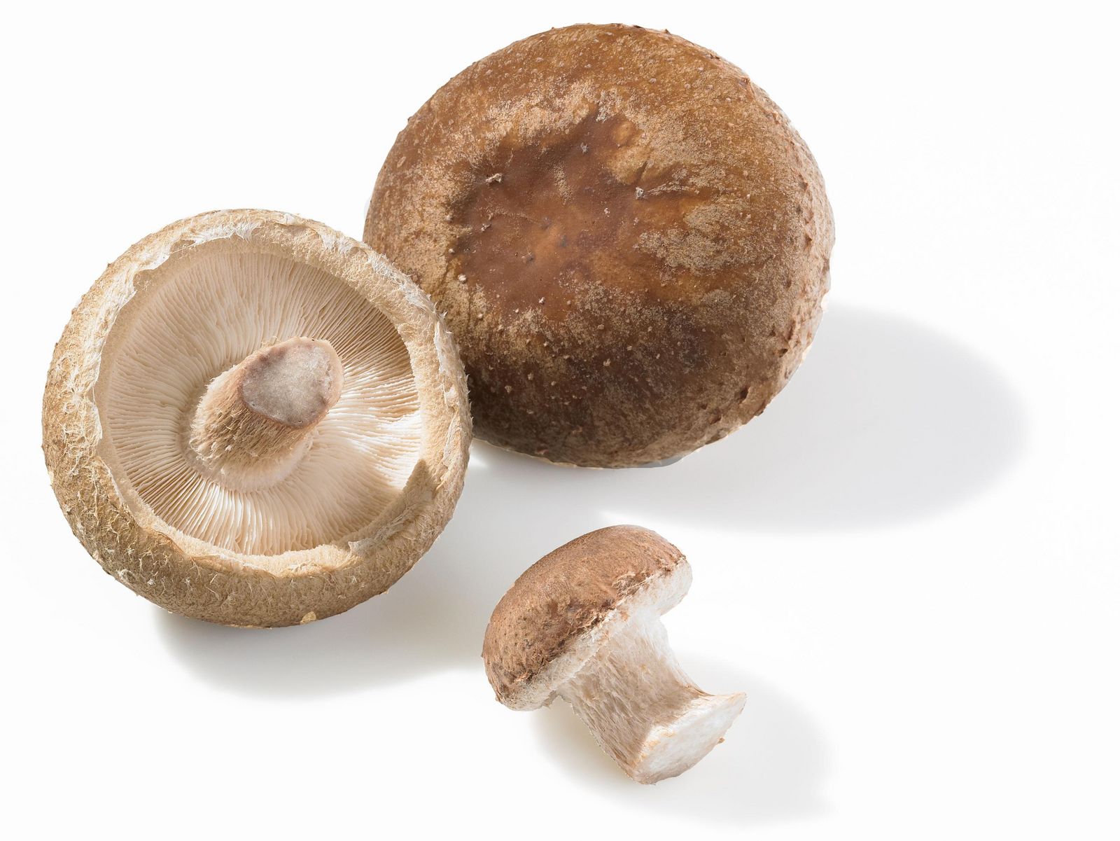 Edelpilze | Wauwiler Champignons AG
